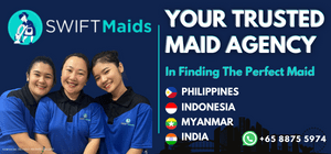 Maid Agency Singapore | Hire Indonesian, Filipino, Myanmar, Indian Best ...